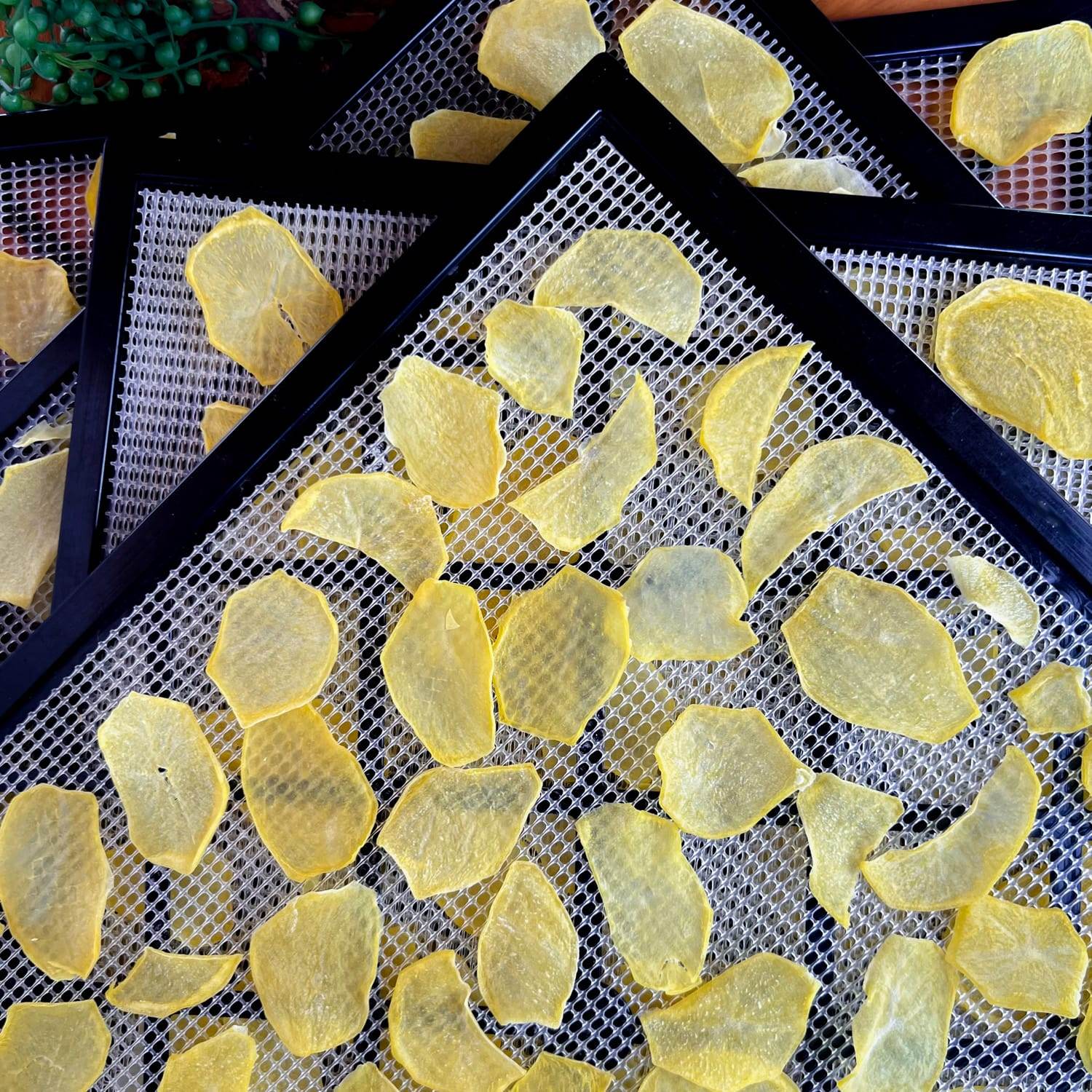 How to Dehydrate Potatoes