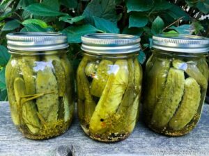 Classic Dill Pickles - Small Batch - GettyStewart.com