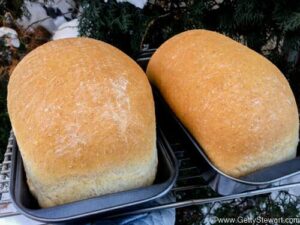 How to Make 50/50 Homemade Sandwich Bread - GettyStewart.com
