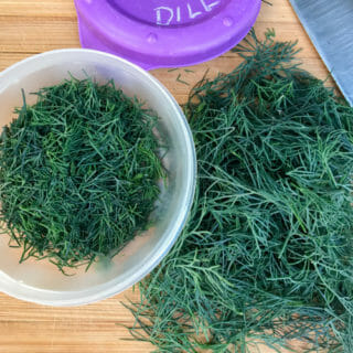When and How to Harvest Dill and How to Freeze It