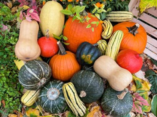 Three Ways to Cut Squash - Safely and Easily