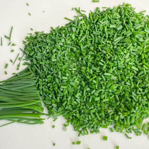 How to Cut and Preserve Chives - Freezing and Drying