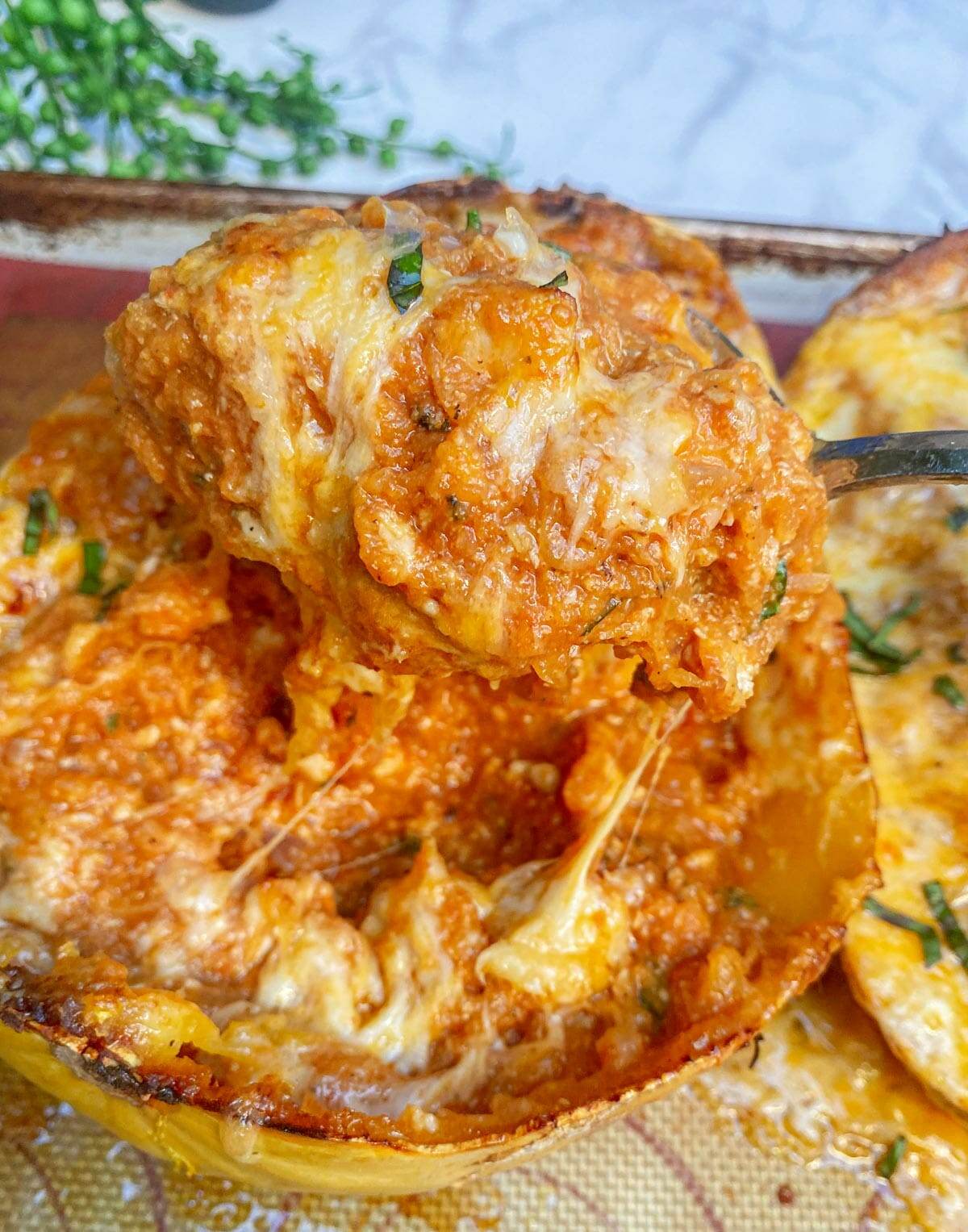 Make Easy Cheesy Chicken Stuffed Spaghetti Squash (in the Shell)
