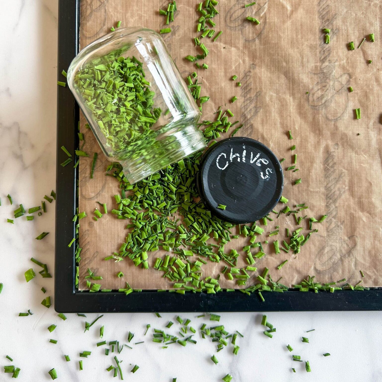 How to Cut and Preserve Chives - Freezing and Drying