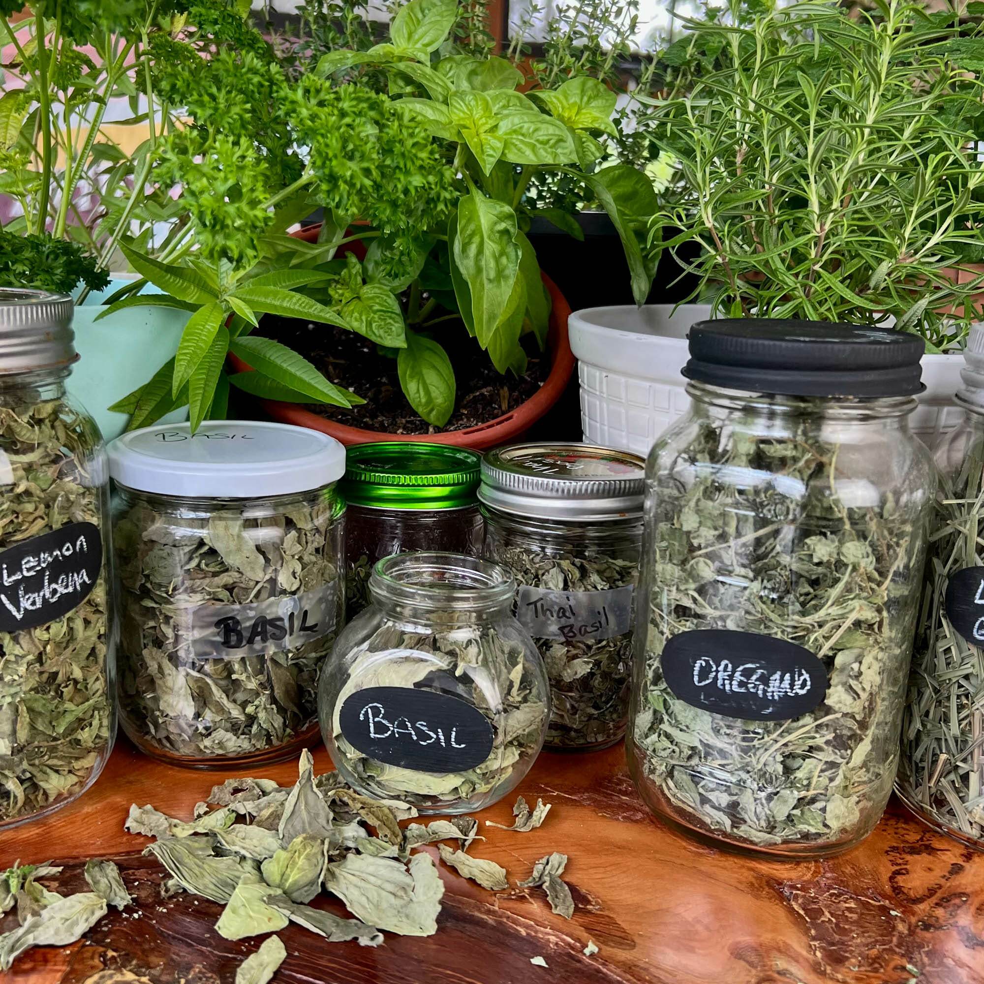 6 Tips for How to Store Dried Herbs for Long-lasting Flavor ...