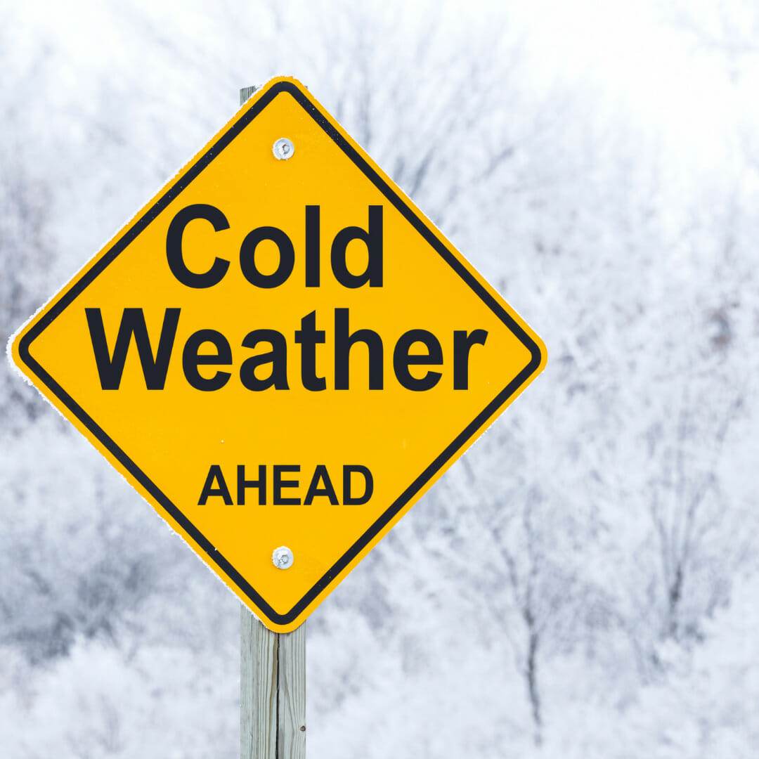 Frost Tolerance of Herbs and Vegetables - Planning for Risk of Frost