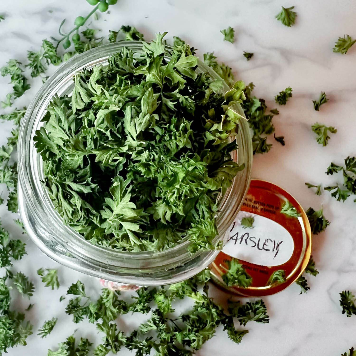 4 Ways to Dry Parsley