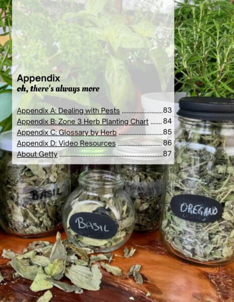 Garden to Table: Everyday Cooking with Herbs