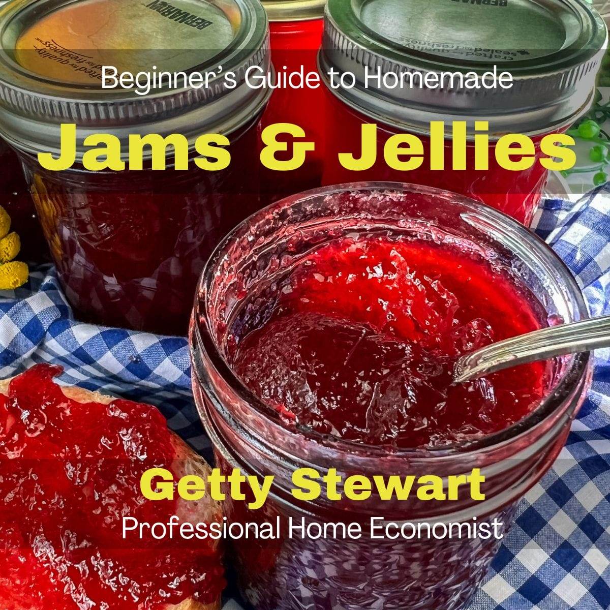 Beginners Guide to Homemade Jams & Jellies