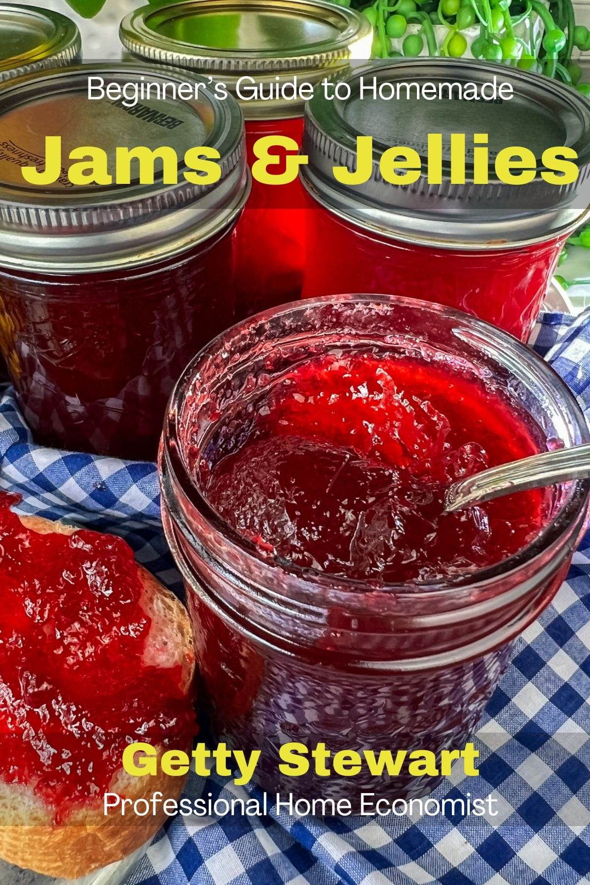 Beginners Guide to Homemade Jams & Jellies