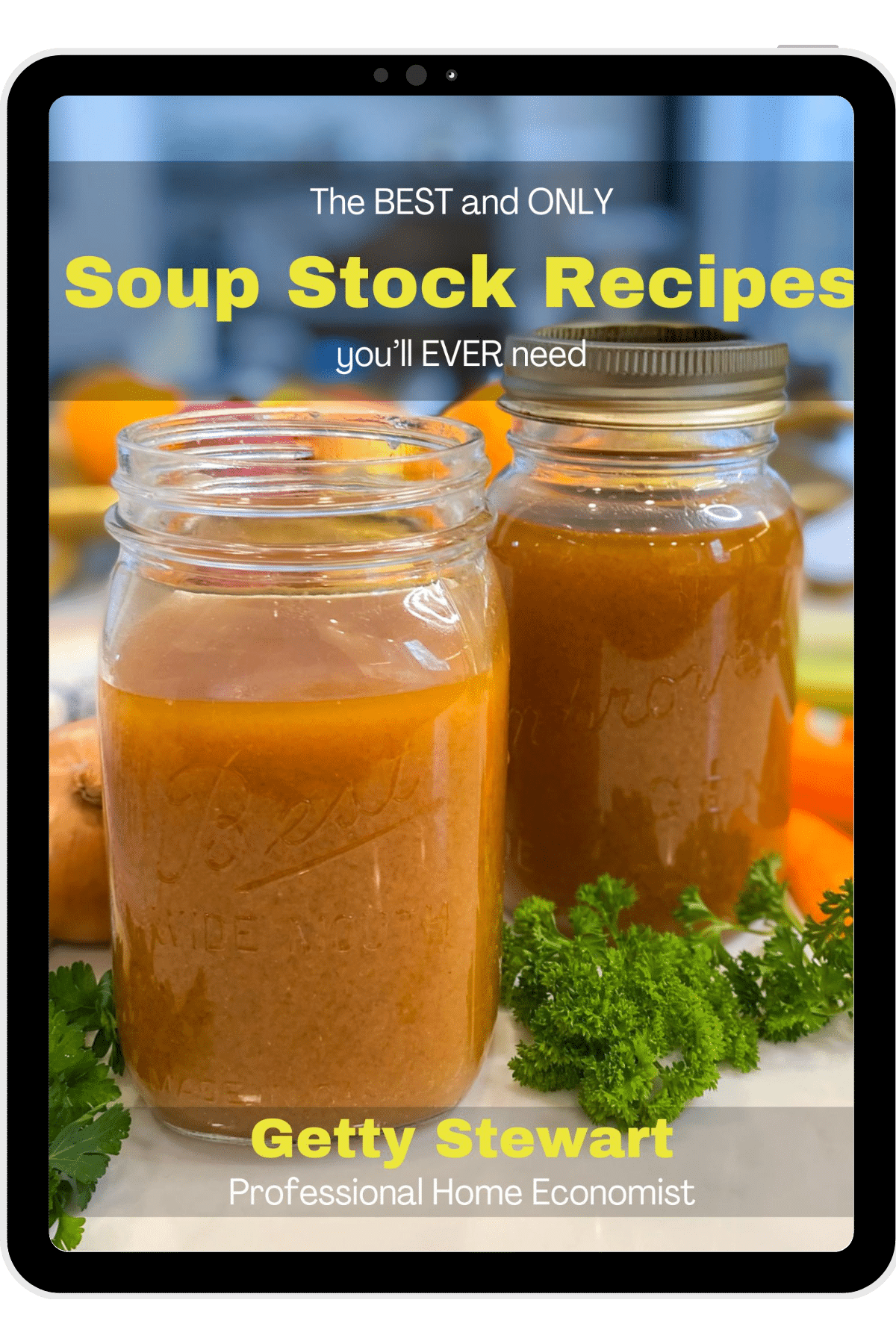 Super Soup Stocks eBook